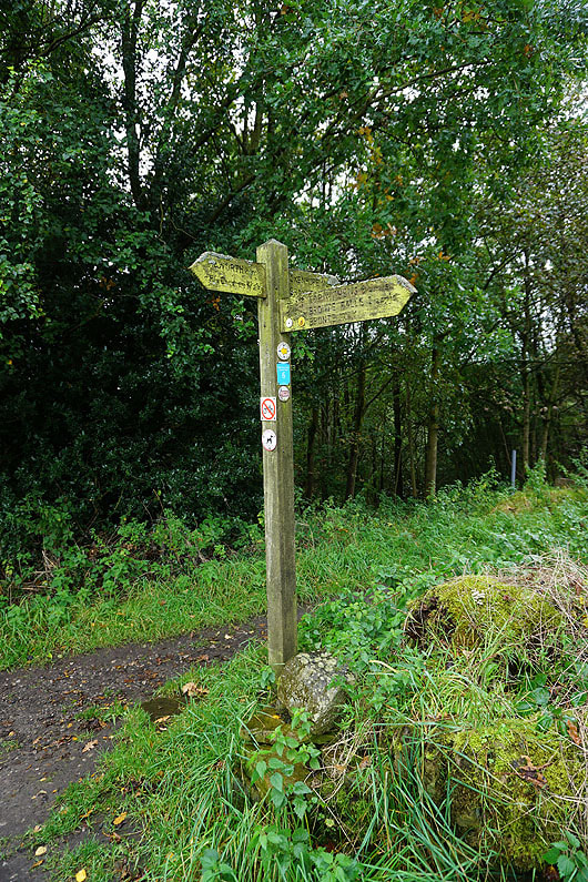 Whither and Whence? - Laurie Graham